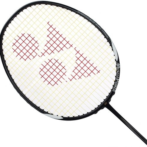 BADEN CHAMPIONS BADMINTON SET REVIEW - We Love Volleyball